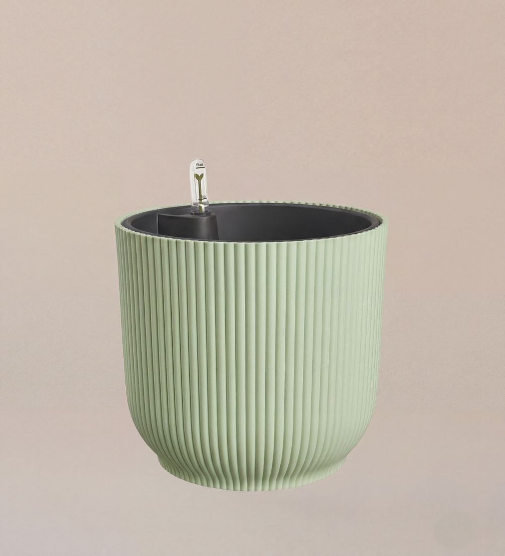Mint Pot with Self-Watering Insert (14cm)