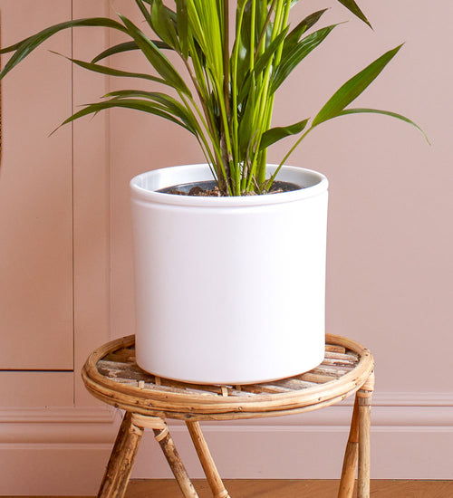 Sale - Pots