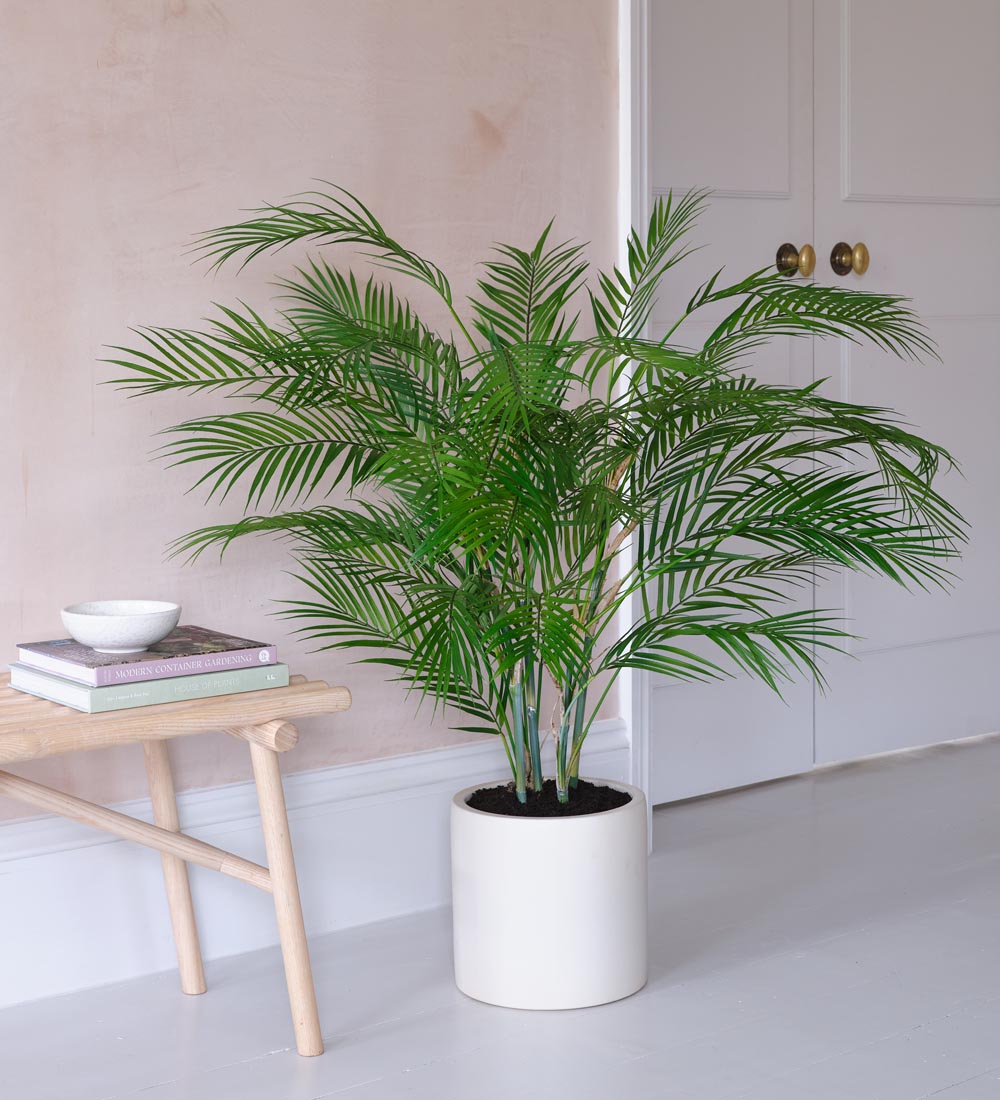 Artificial Parlour Palm | Realistic Indoor Faux Plant