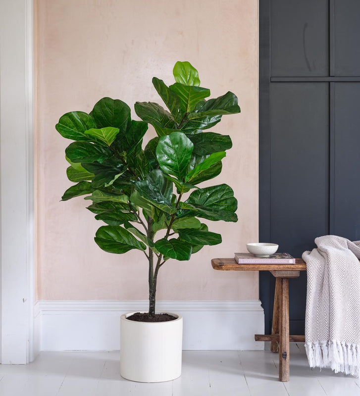 Artificial Fiddle-leaf Fig Tree | Realistic Indoor Faux Tree