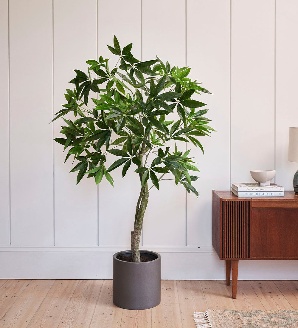 Artificial Money Tree | Realistic Indoor Faux Tree