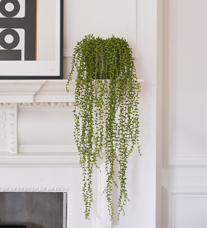 Artificial String of Pearls Hanging | Highly Realistic Faux Plants