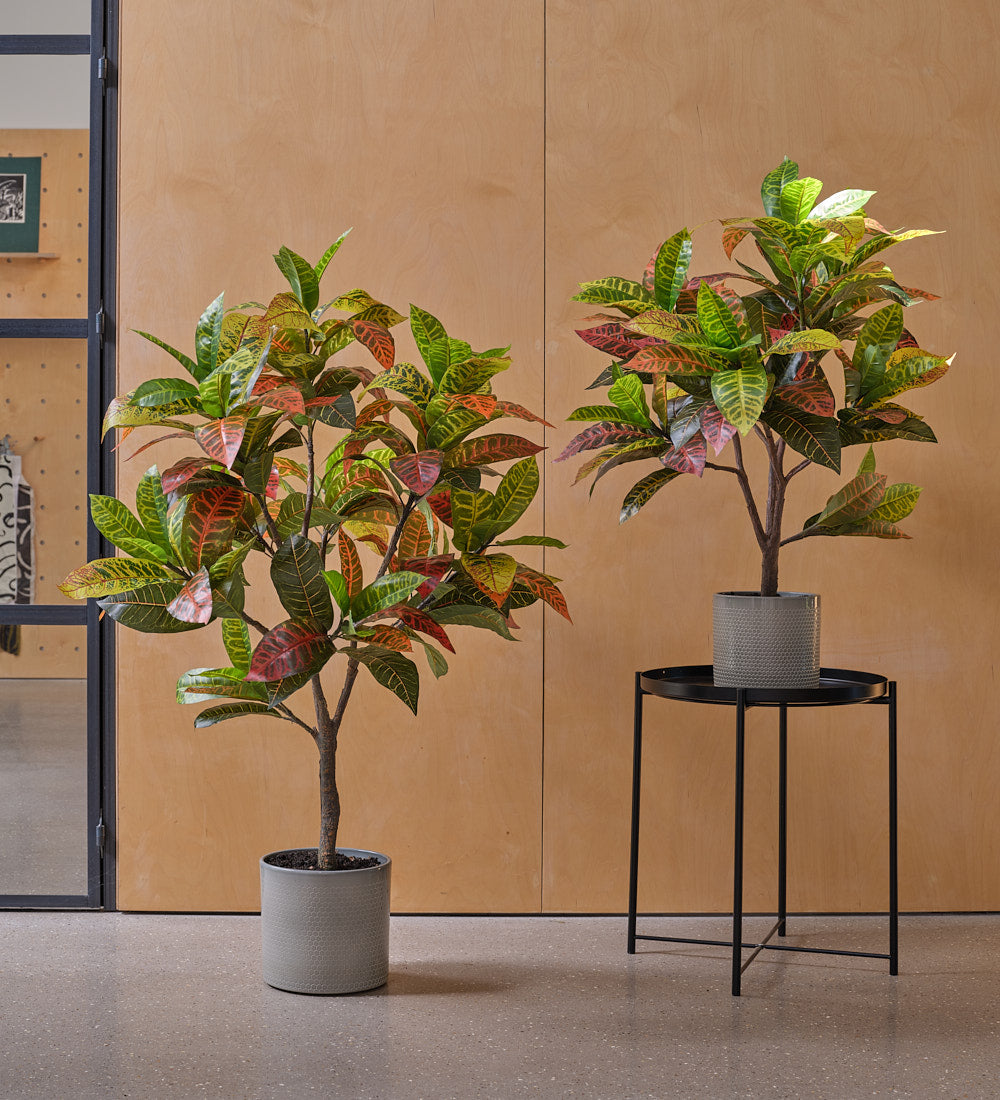 Artificial Croton Tree | Realistic Indoor Faux Tree