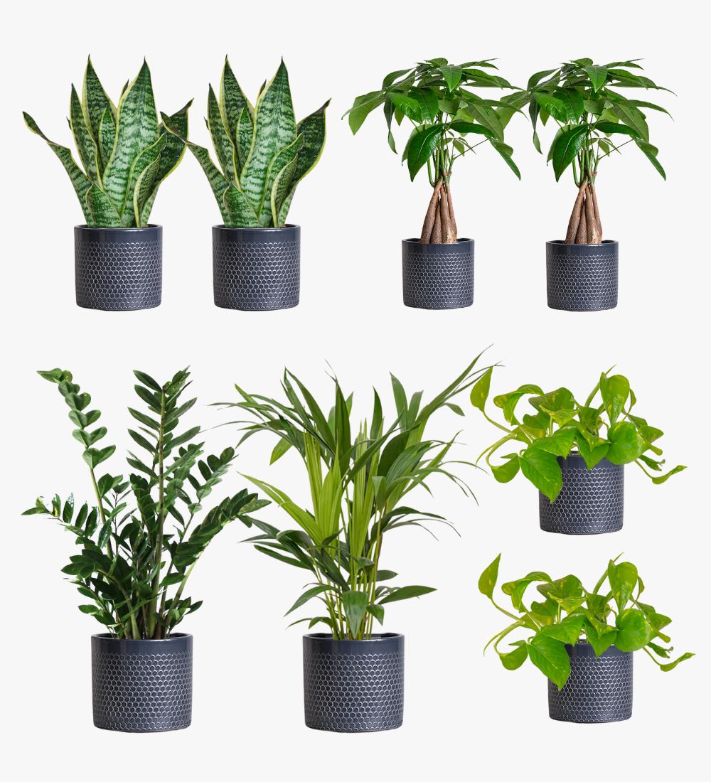 Granite Desktop Bundle