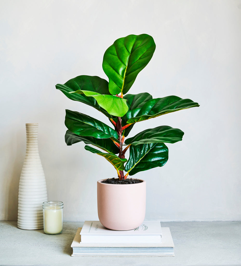 Imperfect Artificial Plant | Realistic Indoor Faux Plant