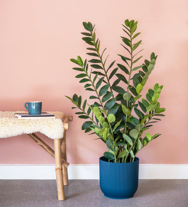 Imperfect Artificial Plant | Realistic Indoor Faux Plant