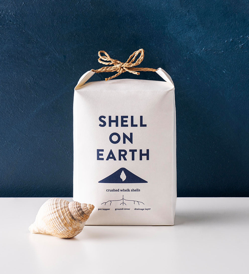 Buy Shell On Earth Crushed Whelk Shells online with nationwide delivery ...