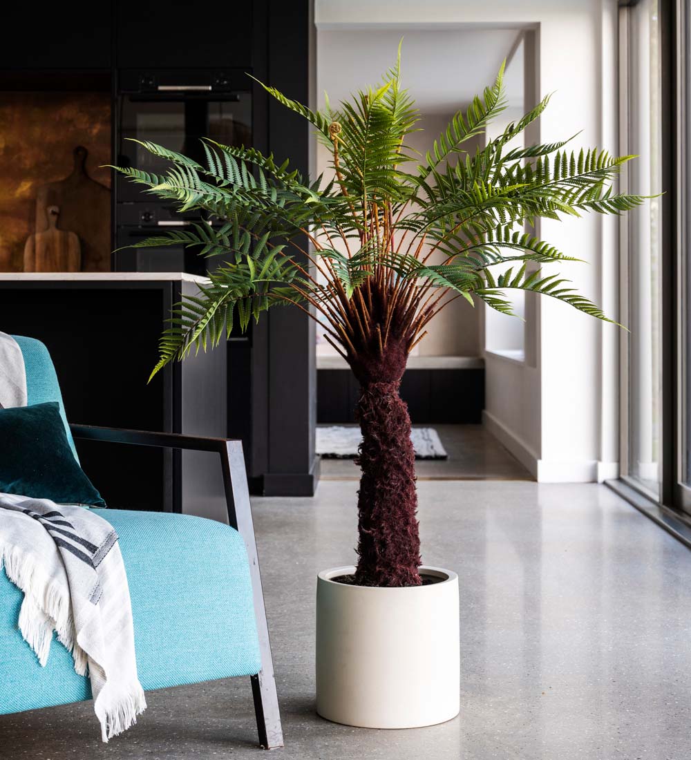 Artificial Tree Fern | Beards & Daisies