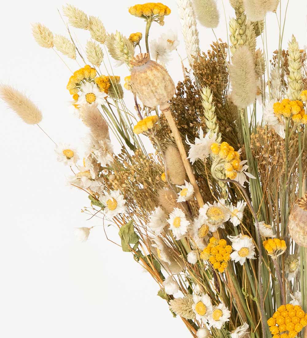 Daisy Meadow Bouquet